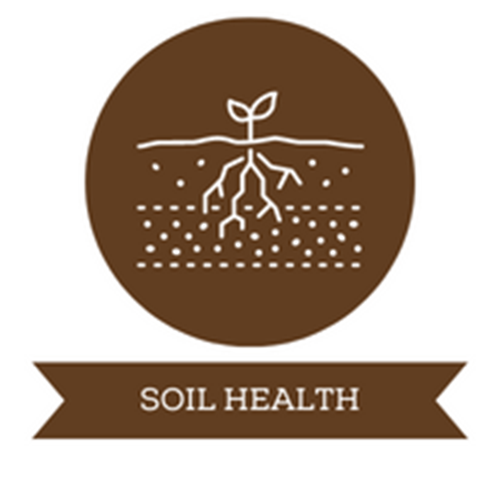 Cover Crops Project | Country Crock| Country Crock